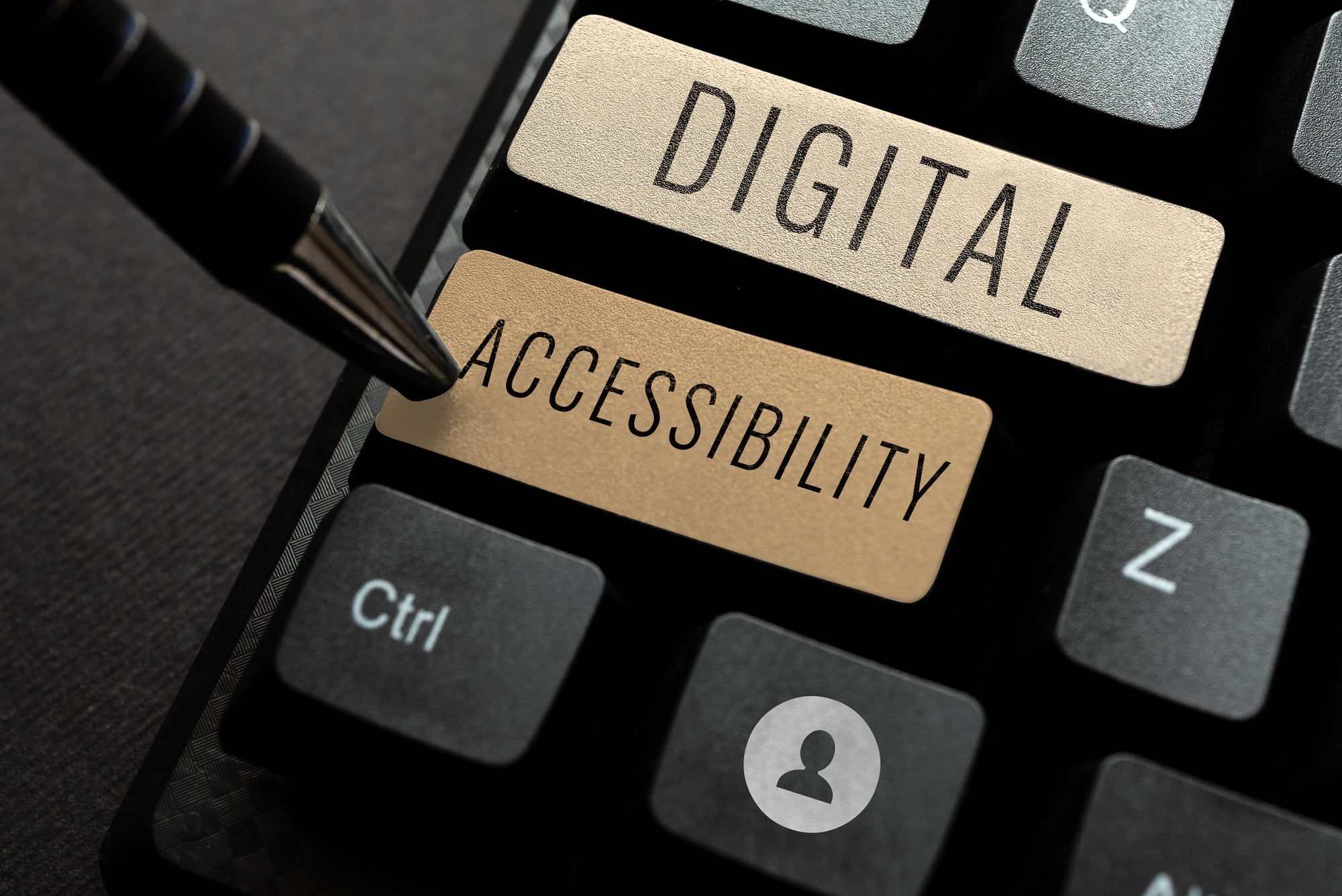 The Importance of Web Accessibility: A Guide to Inclusive Websites ...